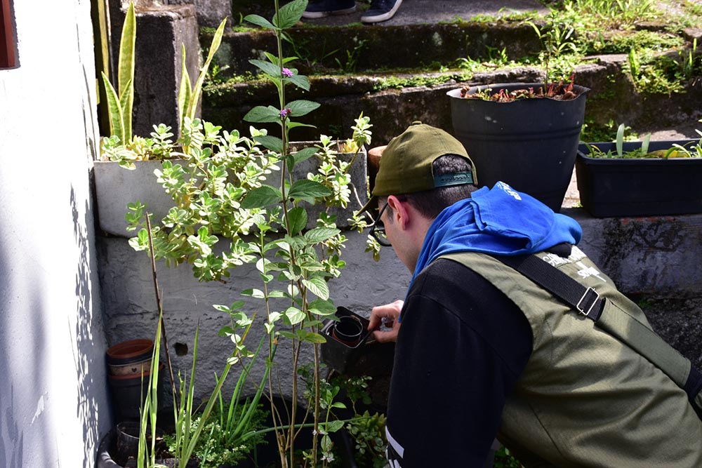 ABC contra a Dengue: 7 cidades realizam atividades para combater a ...